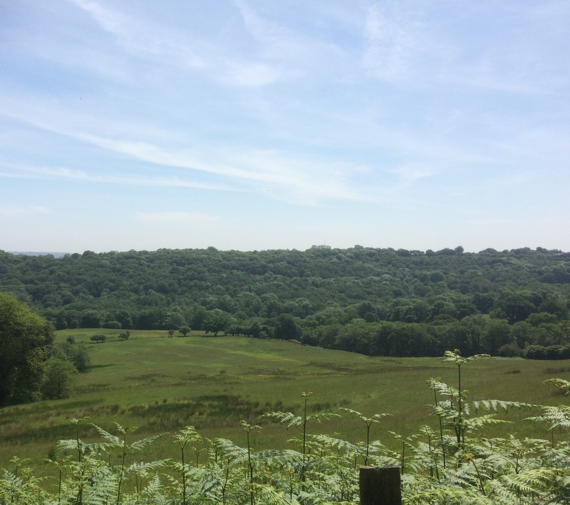 Mapio Cymru - Page 2 of 2 - We are mapping Wales in the Welsh language