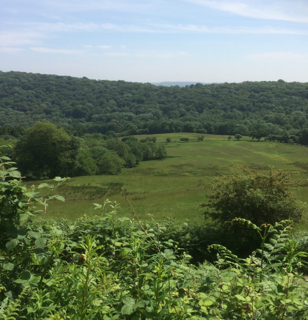 Milestones Archives - Mapio Cymru